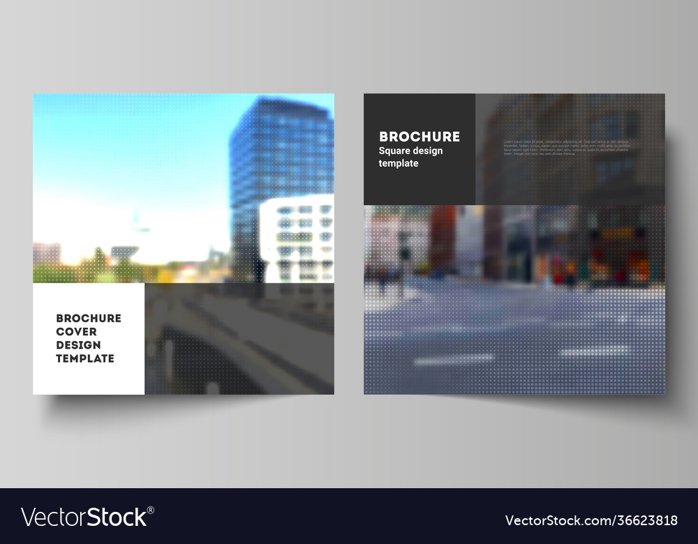 Layout two square covers design Royalty Free Vector Image