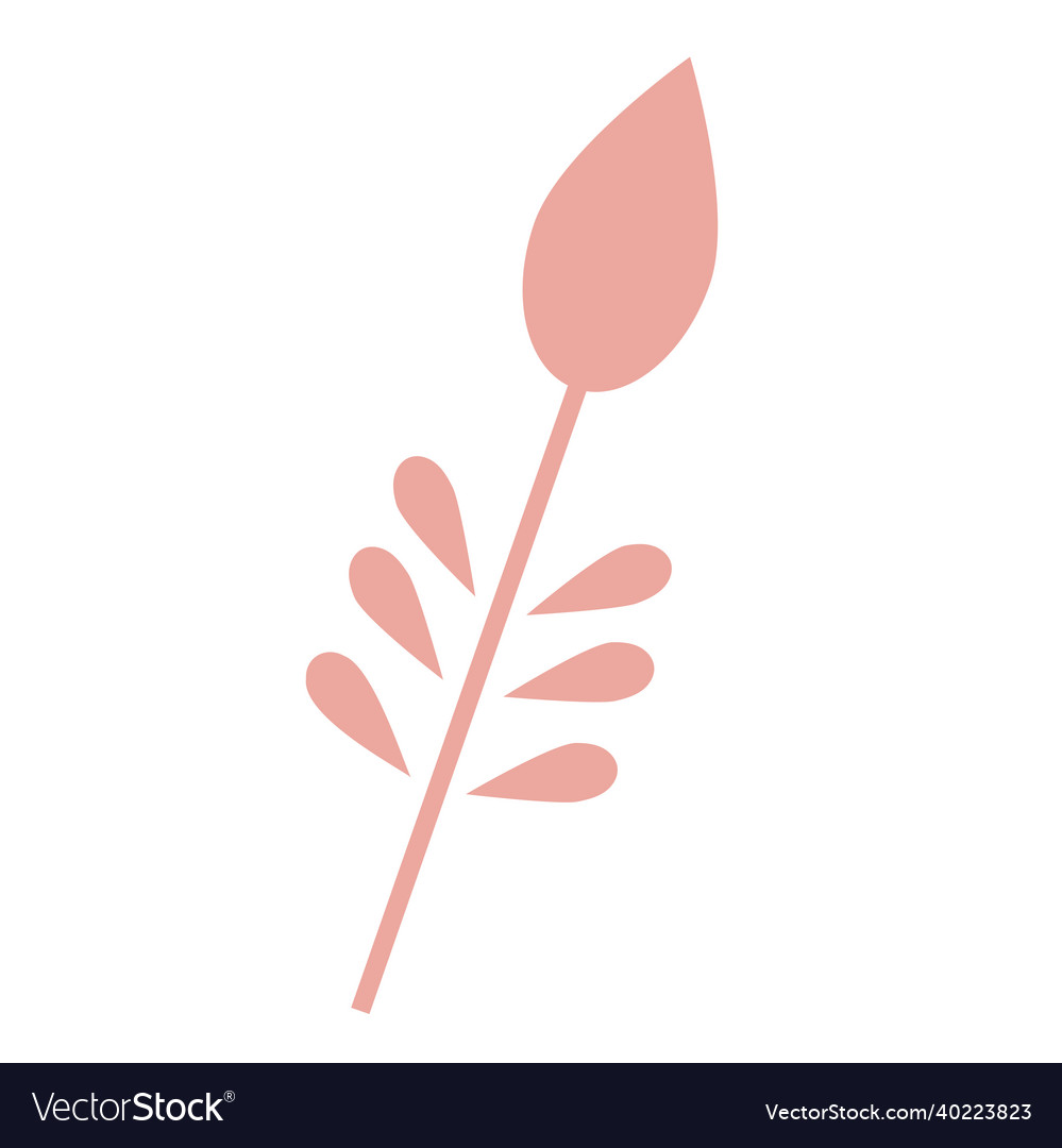 Bud with leaf simple grass Royalty Free Vector Image