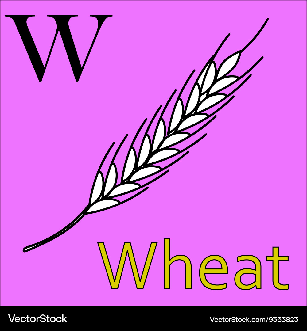 W letter alphabet coloring book wheat Royalty Free Vector