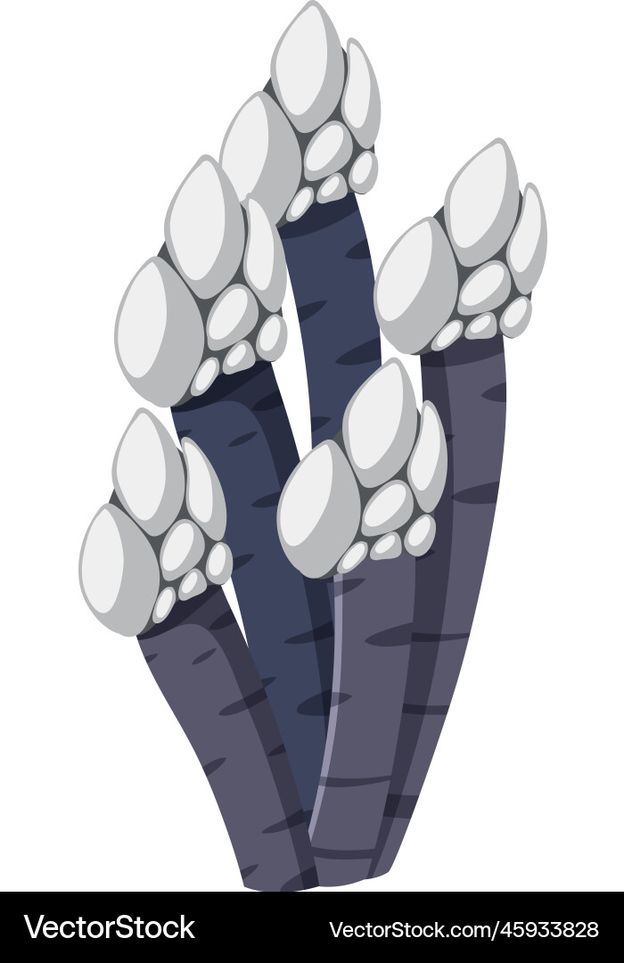 Barnacles isolated rocky shore animal Royalty Free Vector