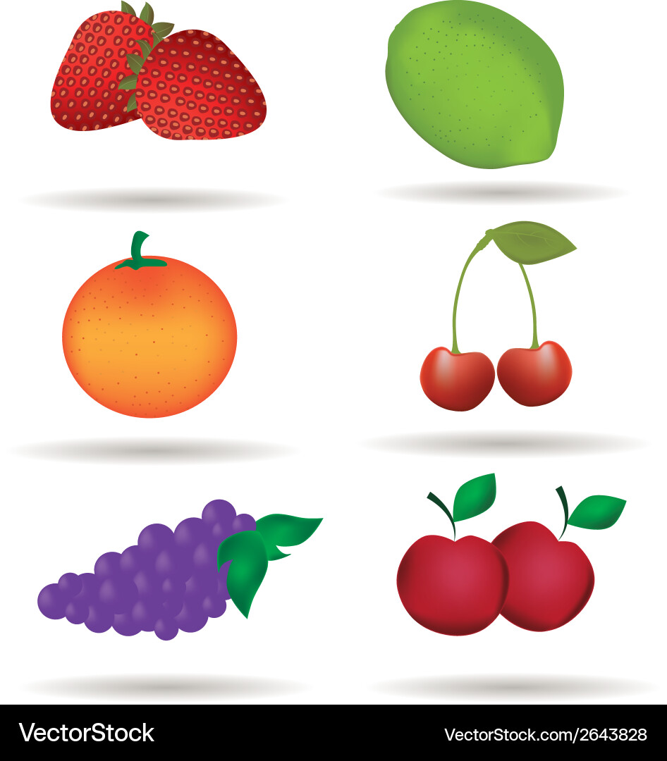 Six different colored fruits with shadows in white