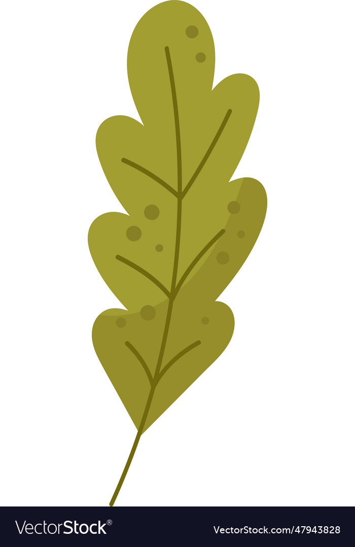 Tree leaf icon Royalty Free Vector Image - VectorStock