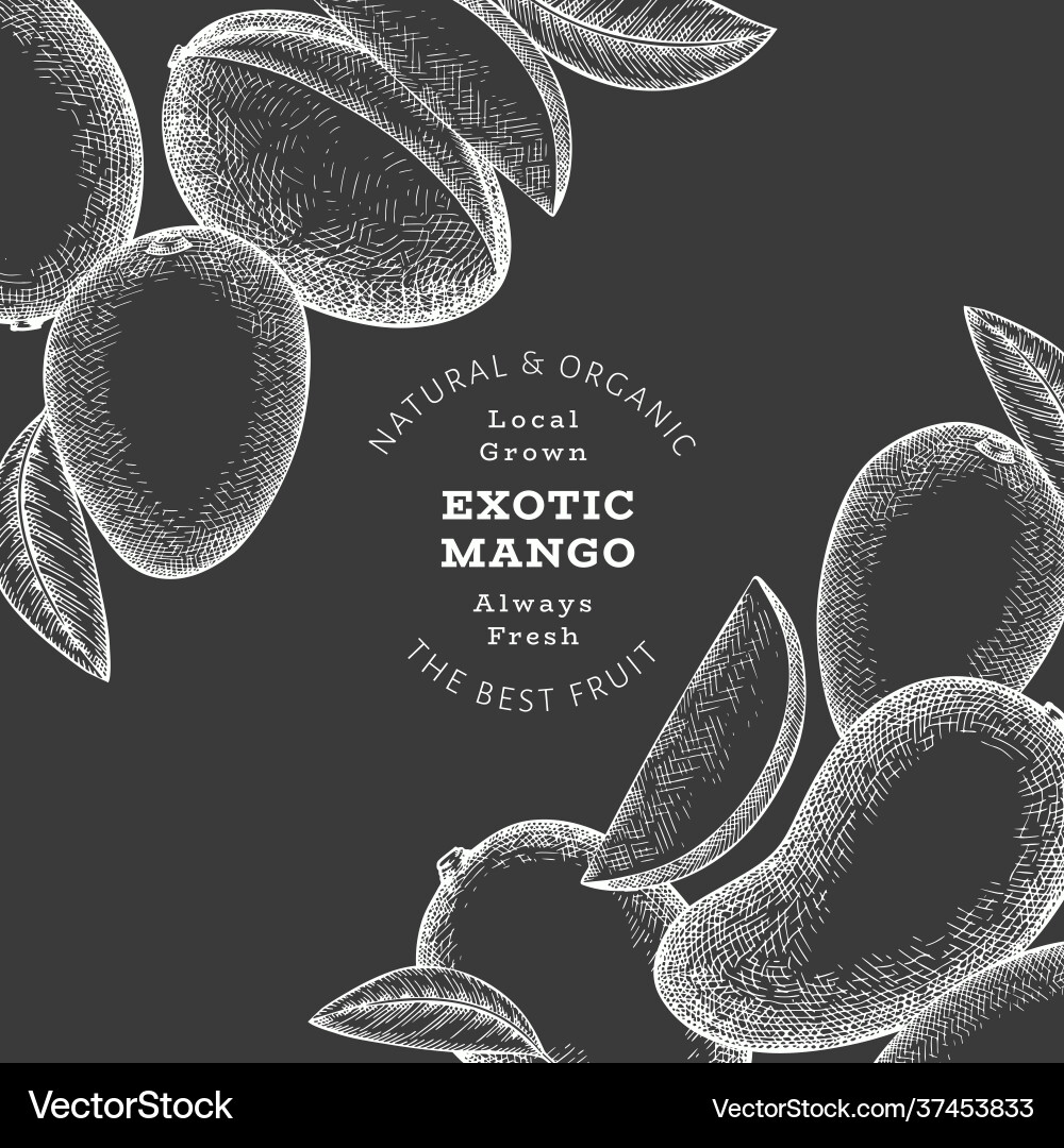 Hand drawn sketch style mango banner organic Vector Image