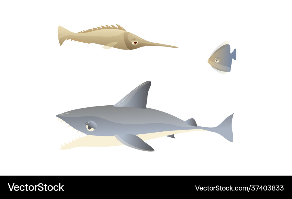 Ocean underwater animals with floating shark Vector Image