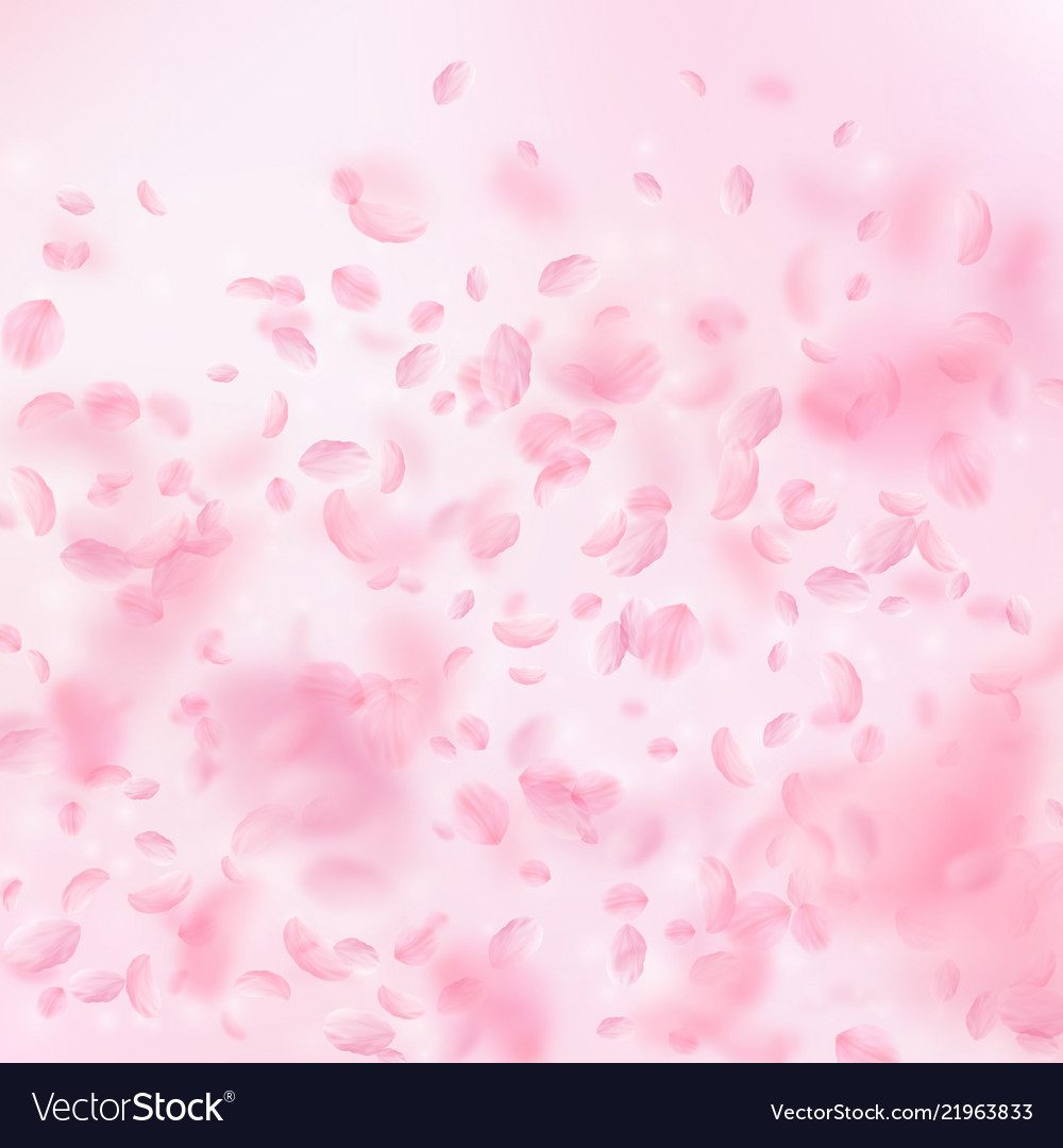 Sakura petals falling down Royalty Free Vector Image
