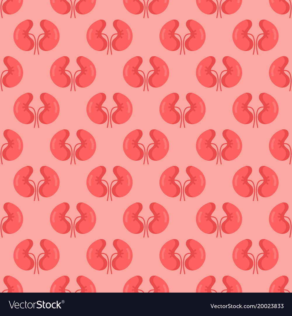Seamless pattern background with kidneys Vector Image