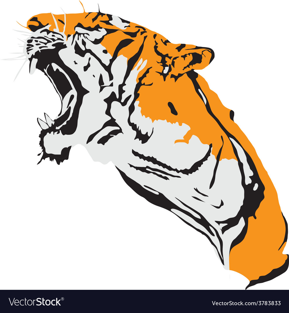 Tiger Royalty Free Vector Image - VectorStock