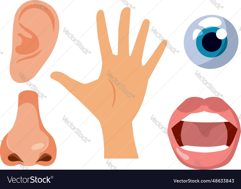 Eye nose ear mouth and hand cartoon set Royalty Free Vector