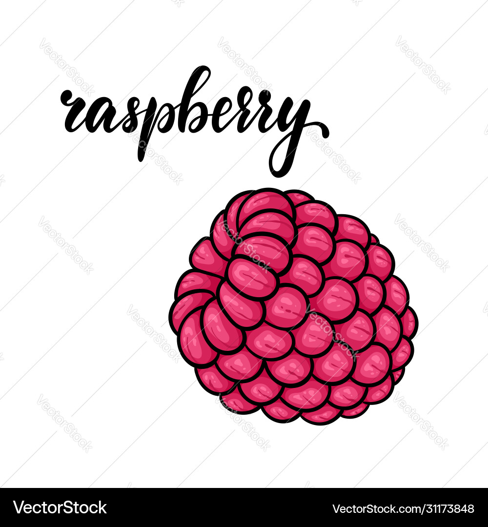 Beautiful cartoon pink raspberry with lettering Vector Image