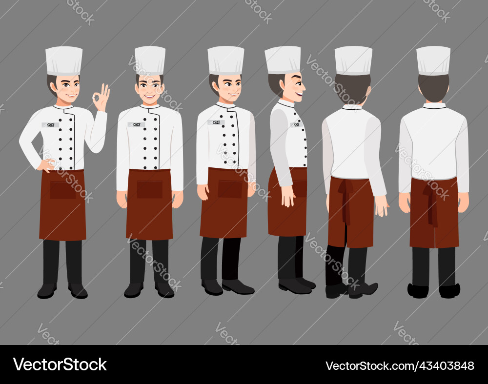 Cartoon character with professional man chef Vector Image