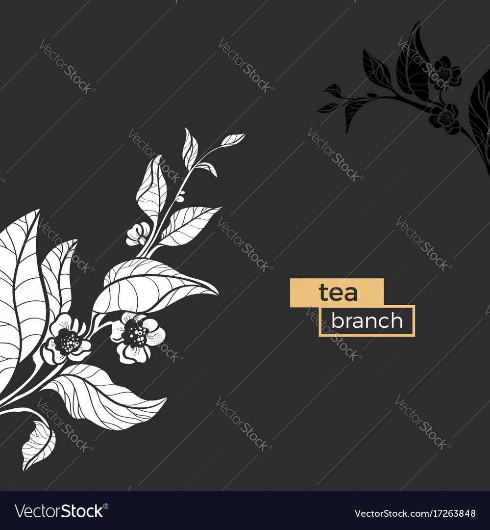 Tea template Royalty Free Vector Image - VectorStock