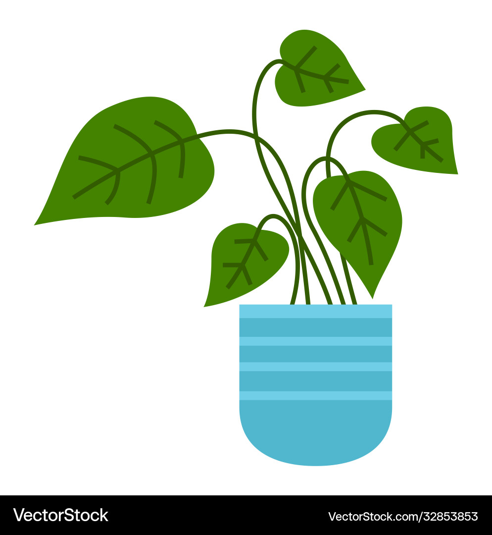 Decorative green plant with short leaves Vector Image