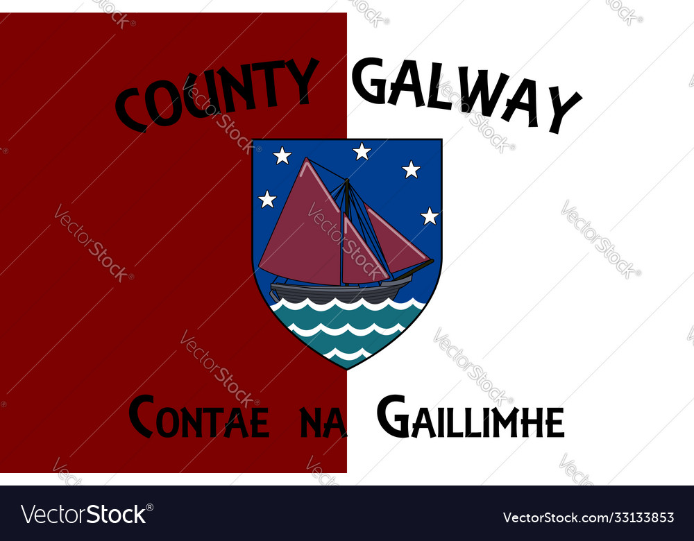 Flag county galway in ireland Royalty Free Vector Image