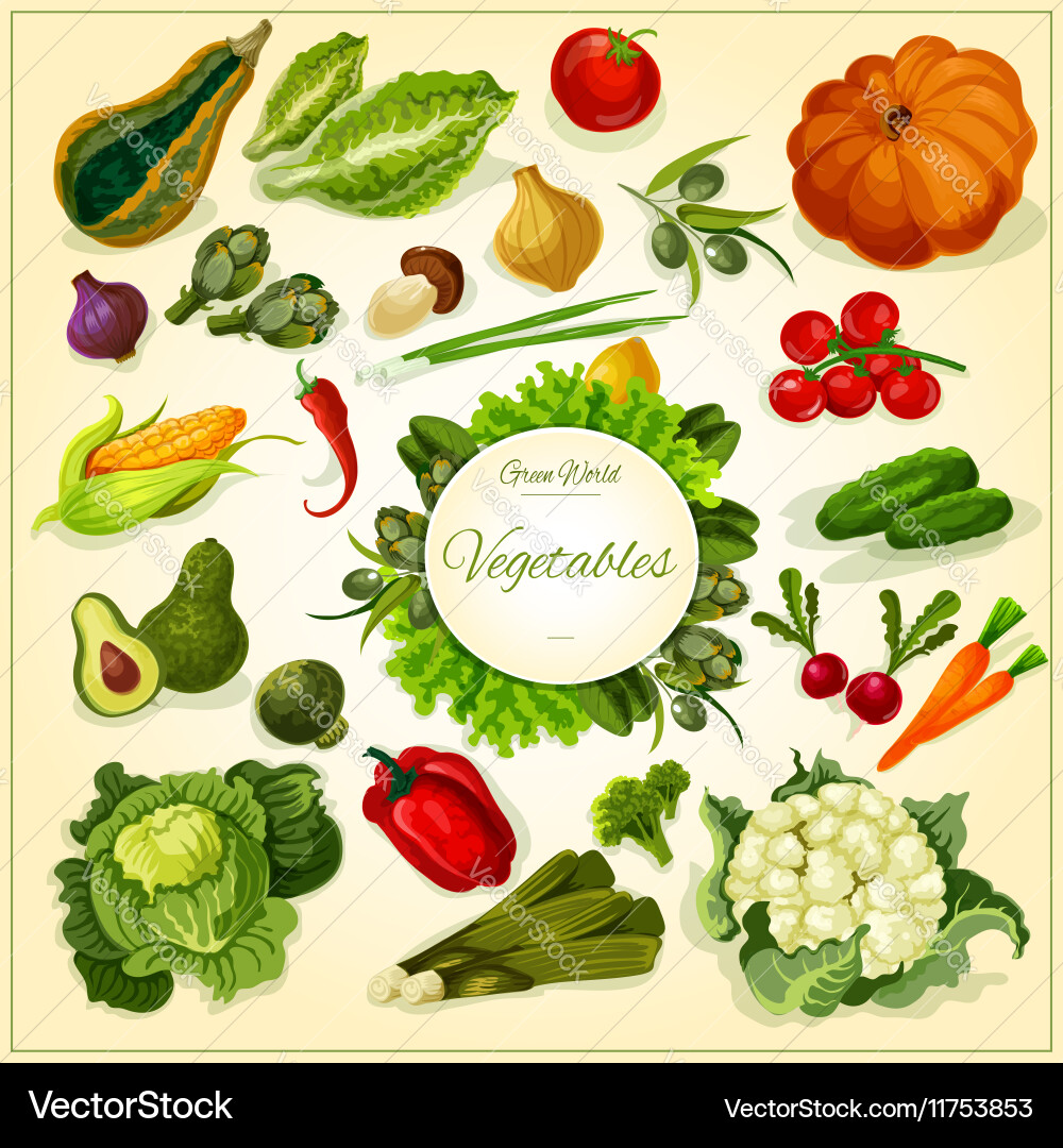 Fresh vegetable poster for food design Royalty Free Vector