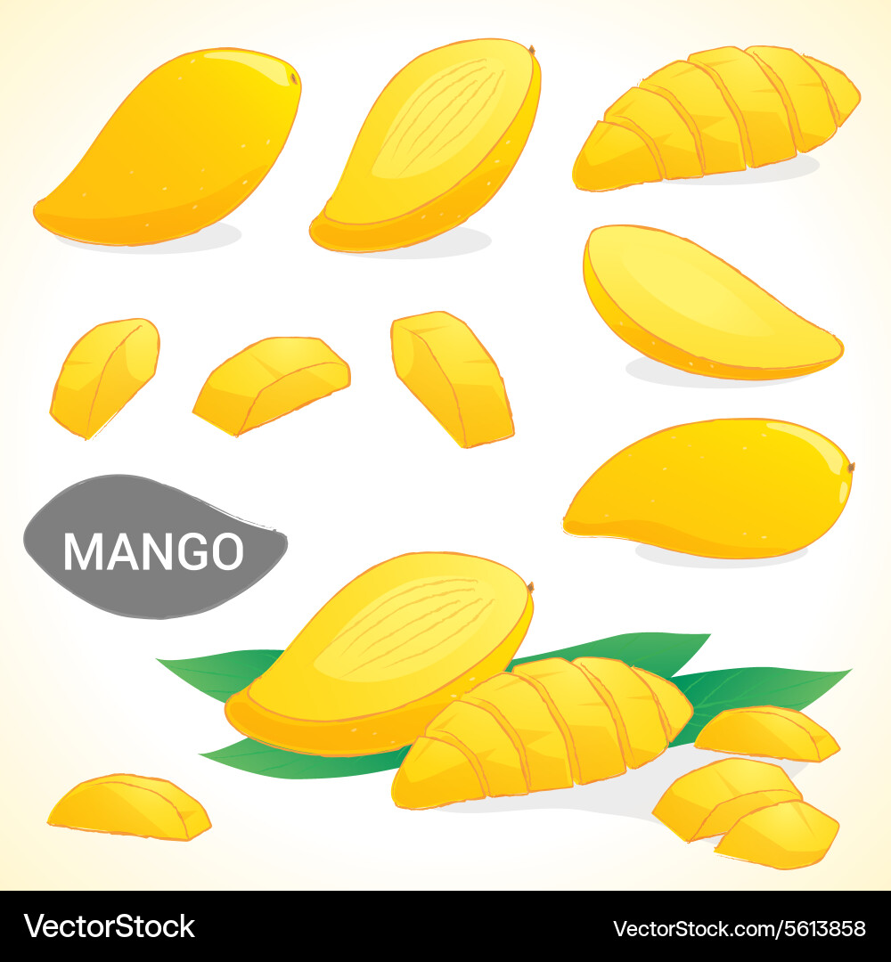 Set of mango in various styles Royalty Free Vector Image
