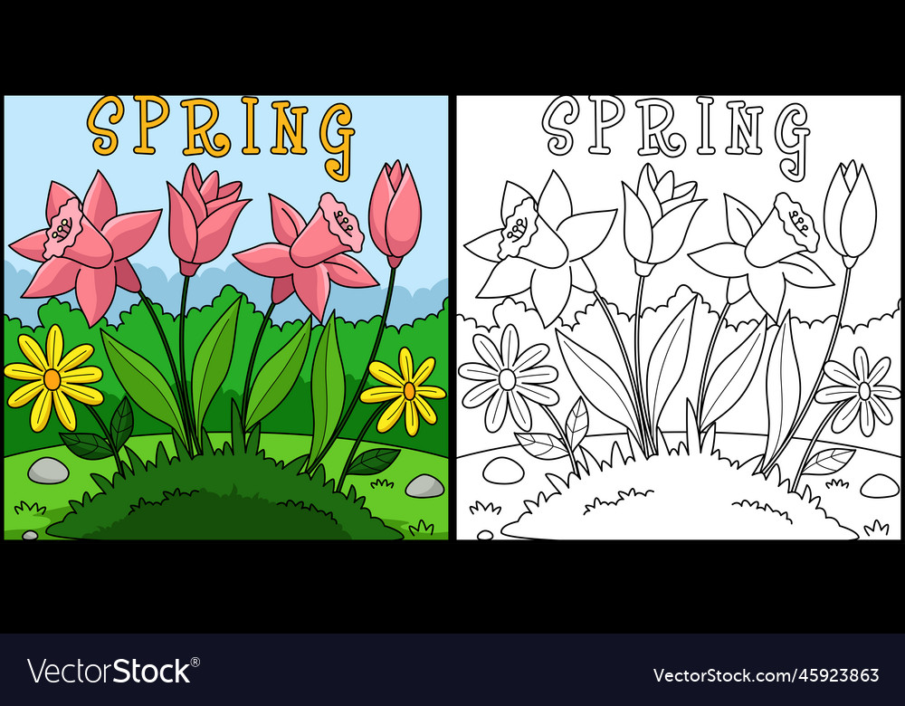 Spring tulip flowers coloring page Royalty Free Vector Image