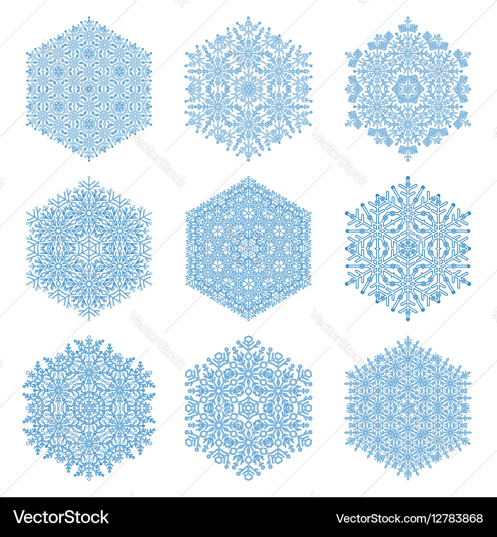 Set of snowflakes Royalty Free Vector Image - VectorStock