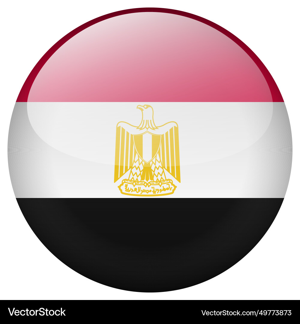 Egypt flag button Royalty Free Vector Image - VectorStock