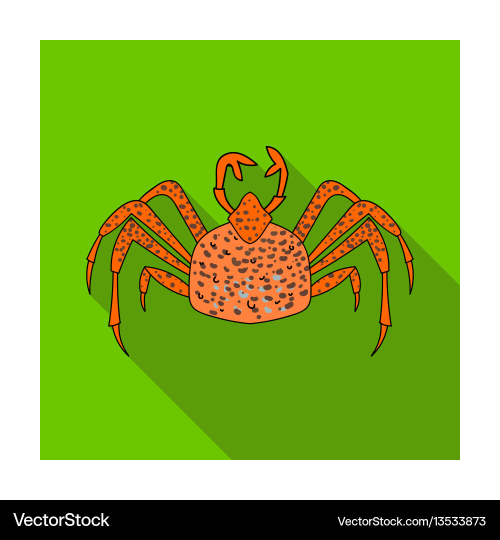 King crab icon in flat style isolated on white Vector Image