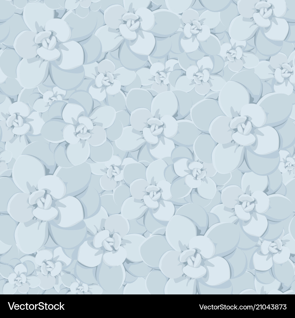 Succulents echeveria stone rose flowers pattern Vector Image