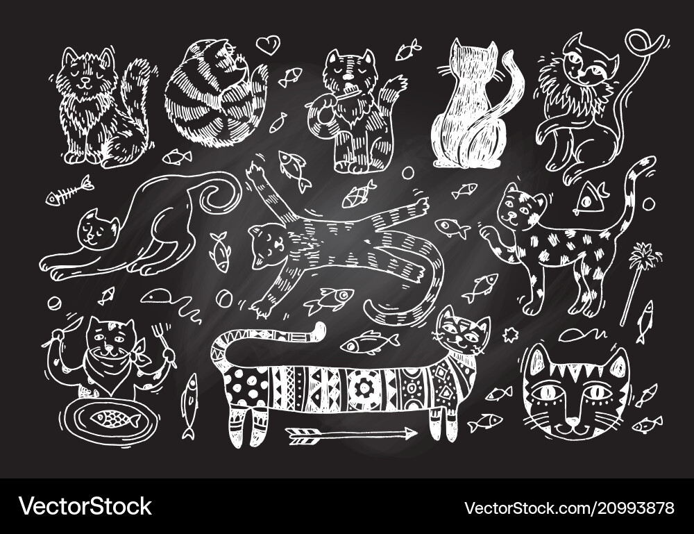 Beautiful hand drawn cute cats Royalty Free Vector Image