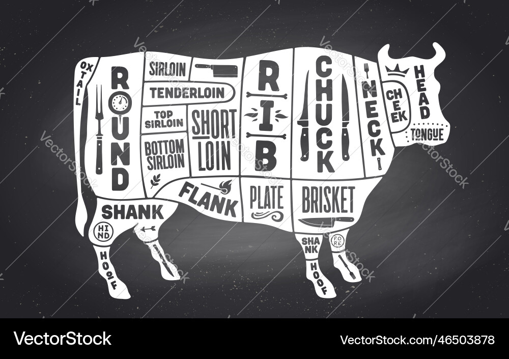 Cow beef scheme diagram chart pork butcher Vector Image