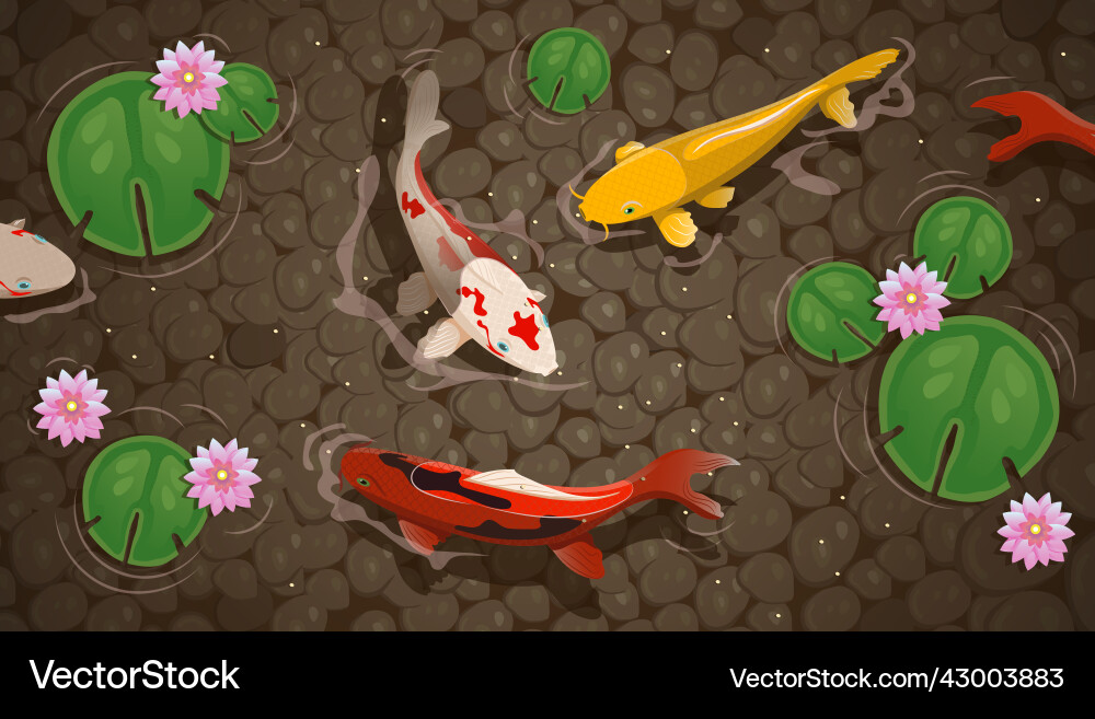 Fish pond with rocks and plants Royalty Free Vector Image