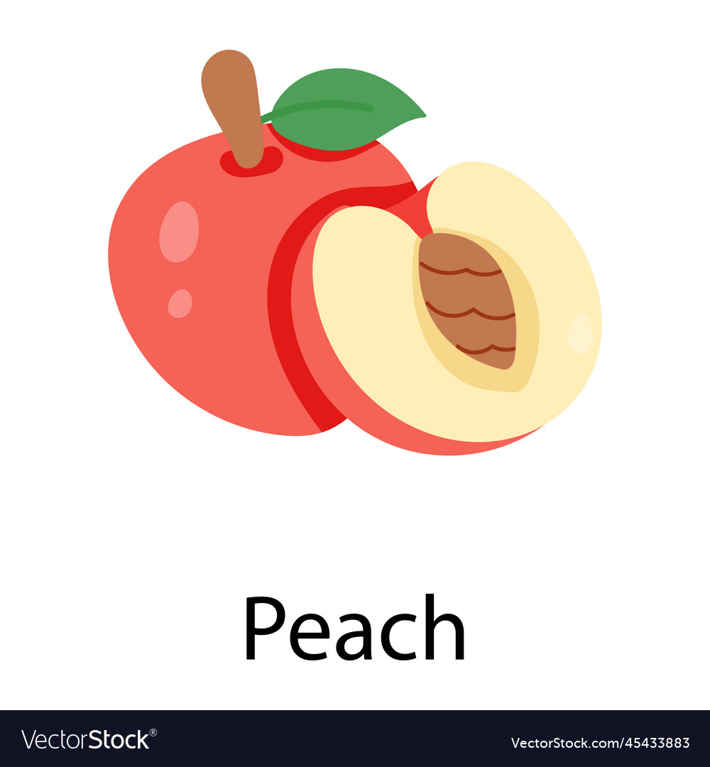 Peach Royalty Free Vector Image - VectorStock