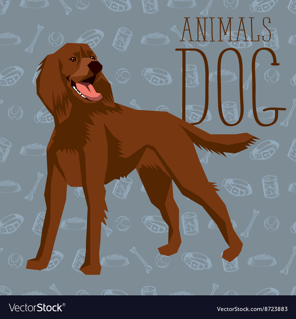 Setter Royalty Free Vector Image - VectorStock