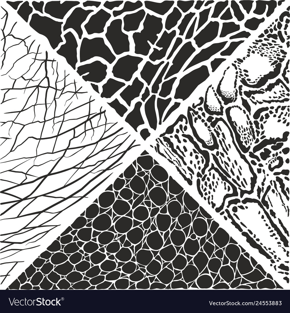 Wild animals pattern background Royalty Free Vector Image