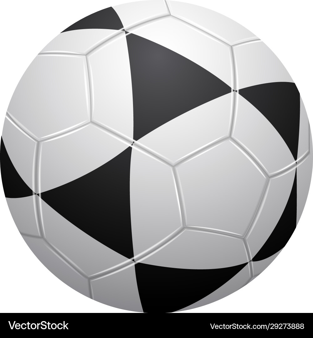 Isolated realistic soccer ball Royalty Free Vector Image