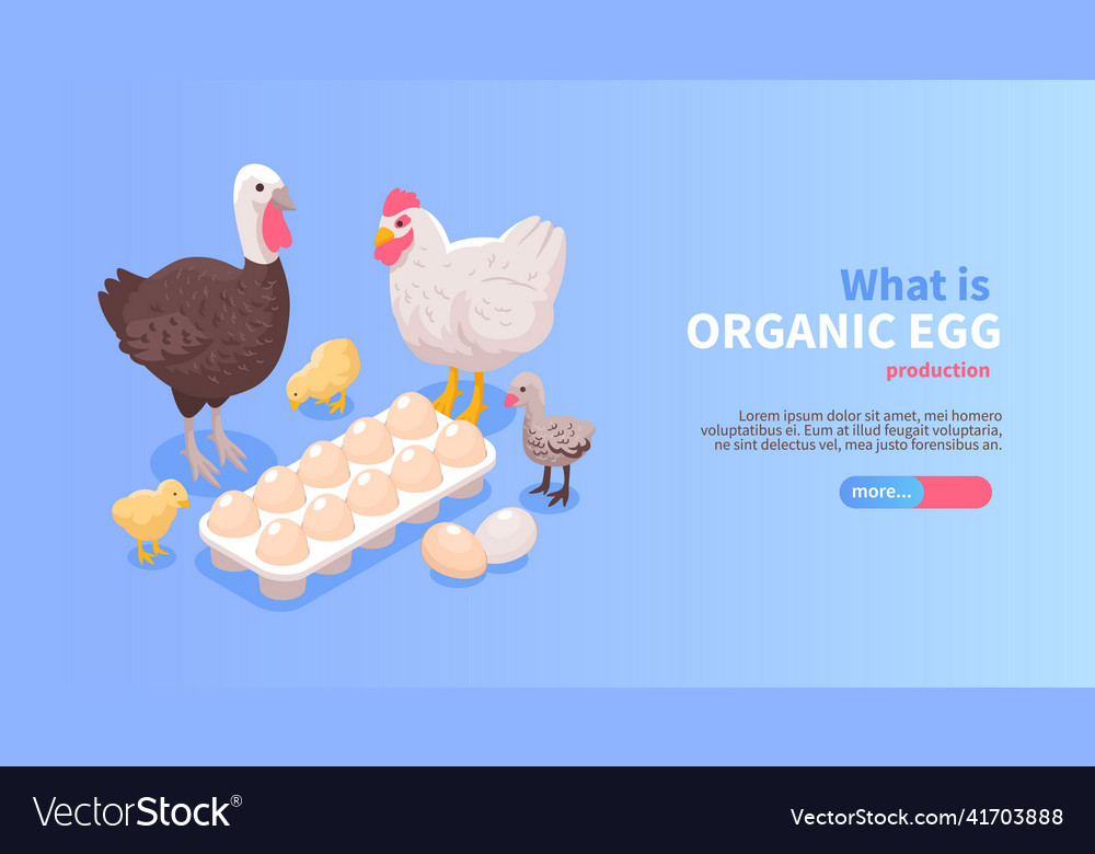 Poultry farm isometric banner Royalty Free Vector Image Poultry farm isometric banner Royalty Free Vector Image