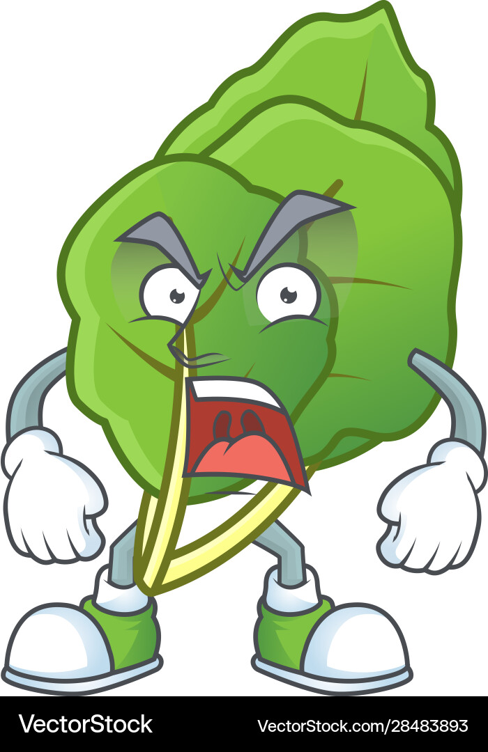 Angry face collard greens cartoon character Vector Image