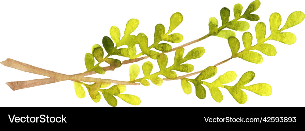 Bunch of spring leaf border watercolor Royalty Free Vector