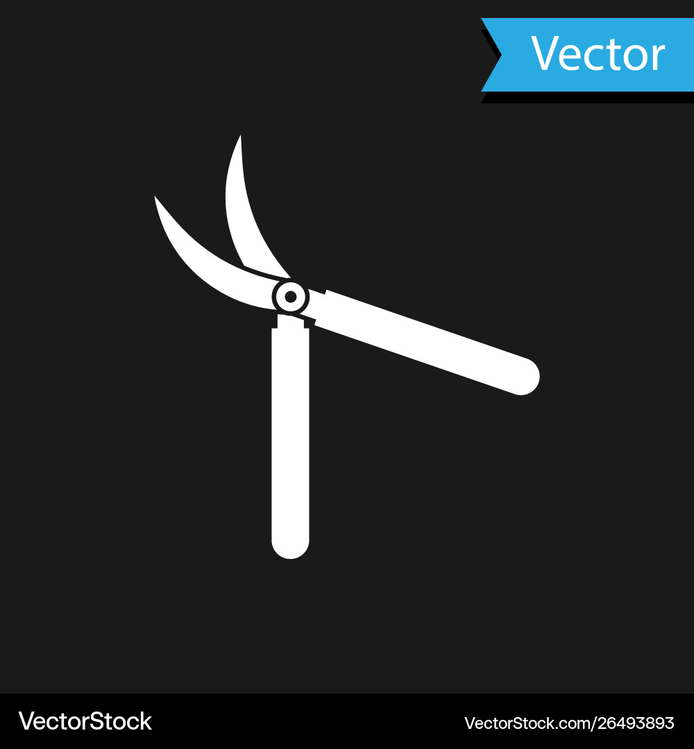 White gardening handmade scissors for trimming Vector Image