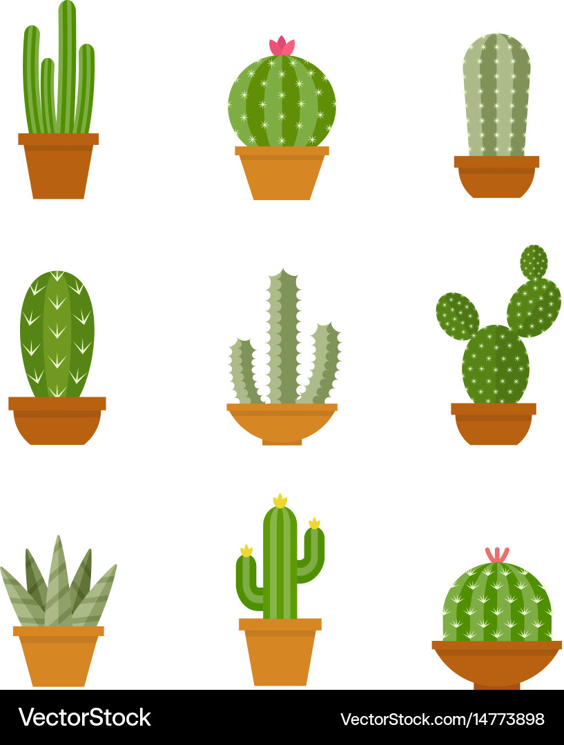 Cactus icons in a flat style on white background Vector Image