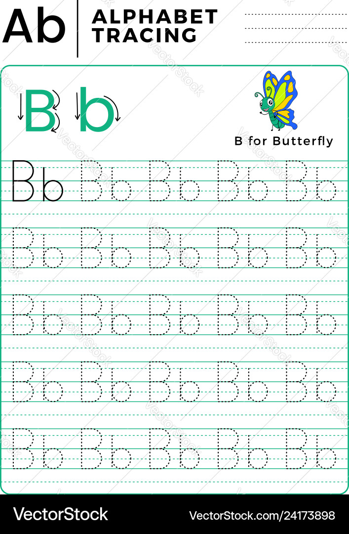 Letter b alphabet tracing book with example Vector Image