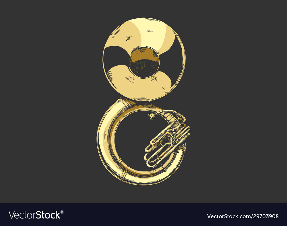 Sousaphone Royalty Free Vector Image - VectorStock