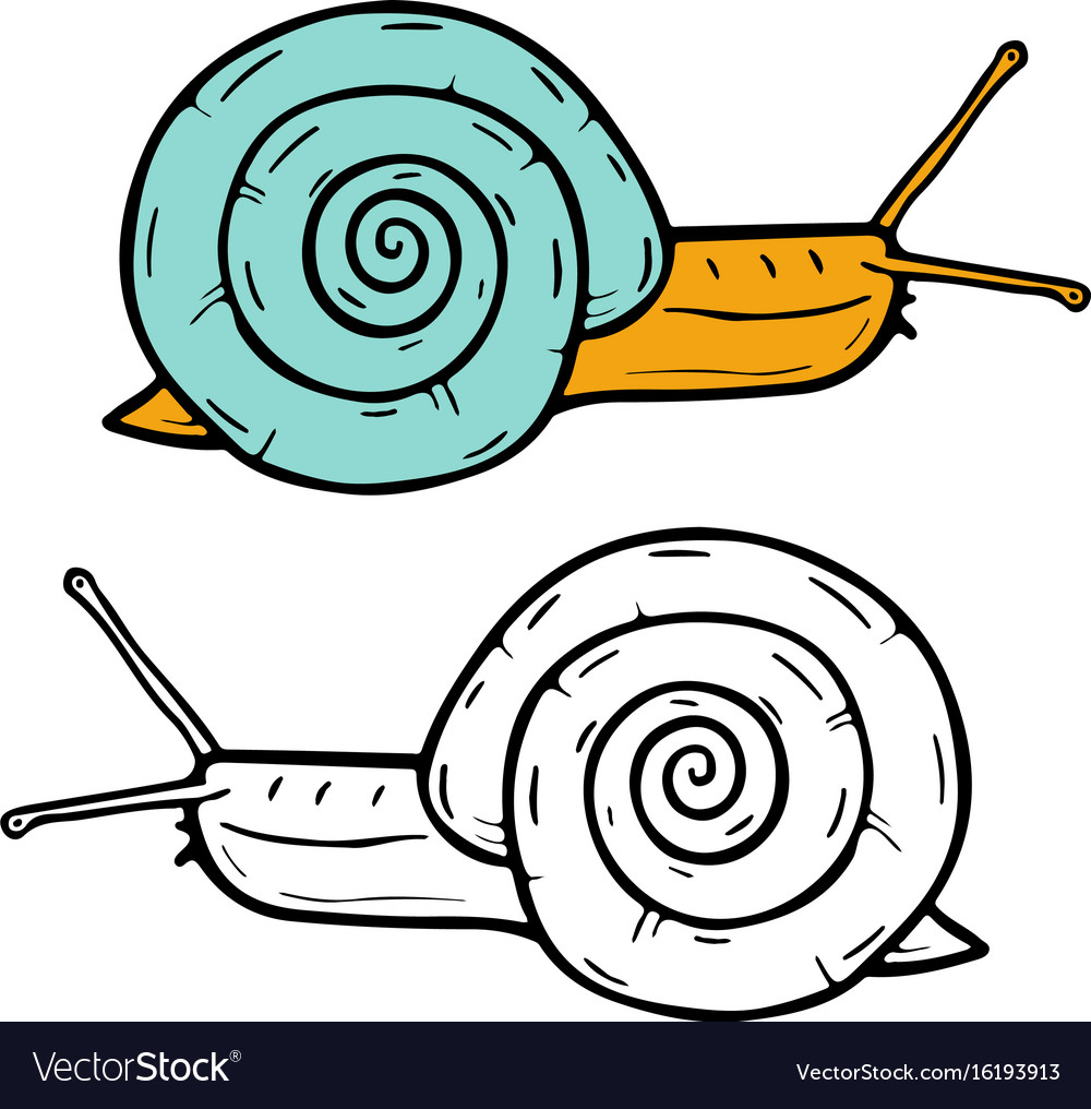 Hand drawn snails Royalty Free Vector Image - VectorStock