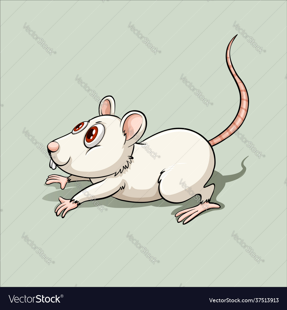 Mouse design mascot Royalty Free Vector Image - VectorStock