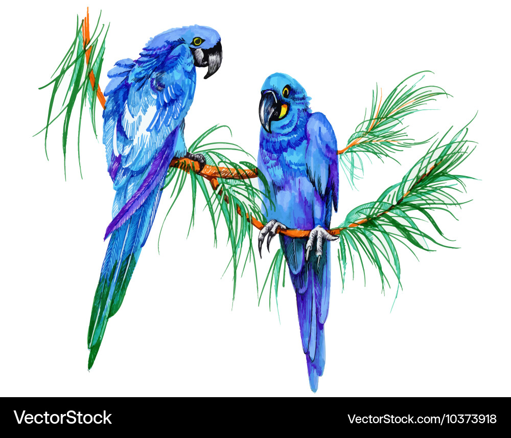 Blue parrots on a branch felt pen hand drawn Vector Image