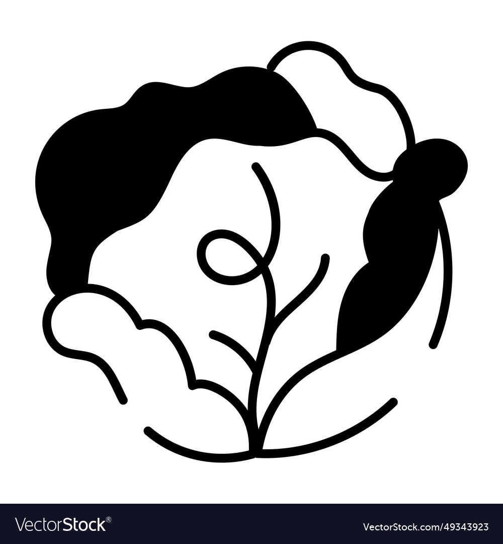 Cabbage Royalty Free Vector Image - VectorStock
