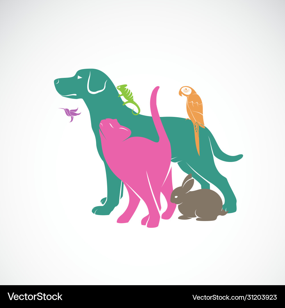 Group pets - dog cat parrot chameleon rabbit Vector Image