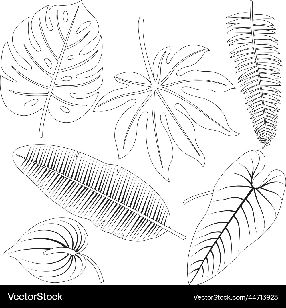 Tropical plant leaves collection Royalty Free Vector Image
