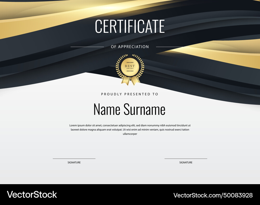 Black and gold professional modern award Vector Image