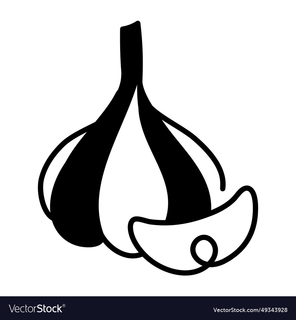 Garlic Royalty Free Vector Image - VectorStock