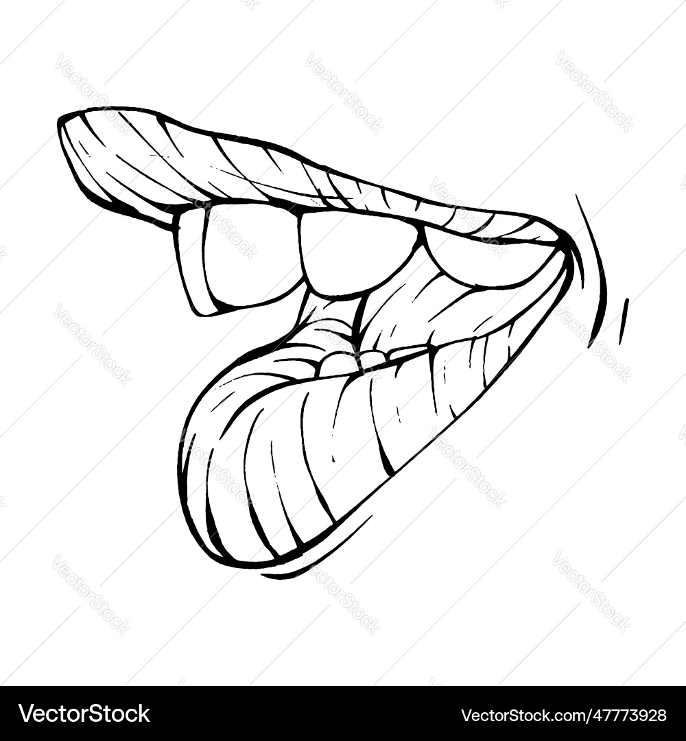 Mouth lips sketch line art Royalty Free Vector Image