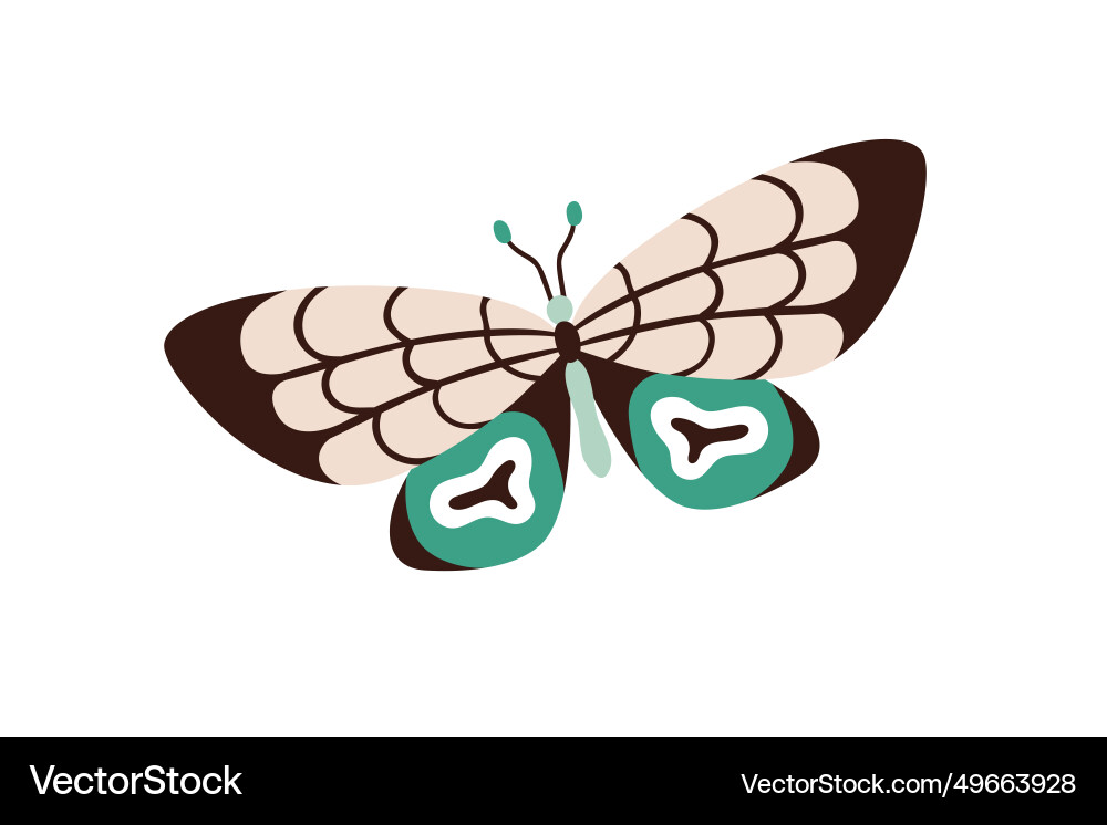 Tropical butterfly flying beautiful exotic moth Vector Image