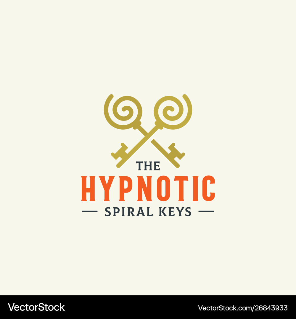 Hypnotic spiral keys abstract sign symbol Vector Image