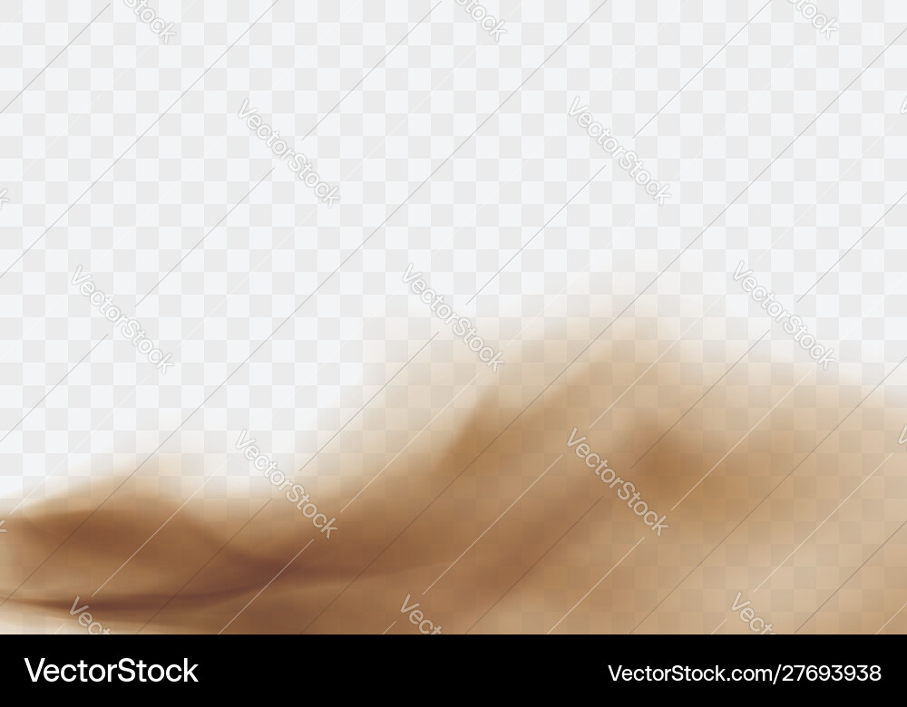 Desert sandstorm brown dusty cloud on transparent Vector Image